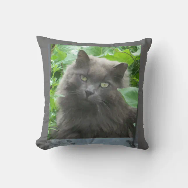 Long Haired Russian Blue Cat Throw Pillow | Zazzle