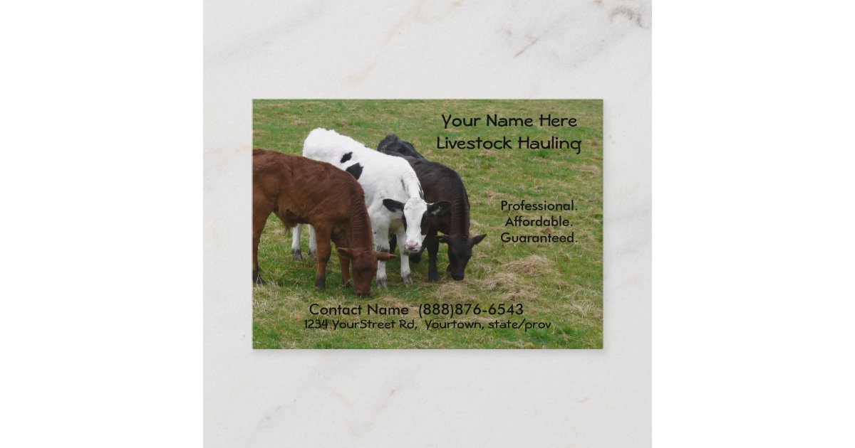 Long Haul Cattle Trucking Business Card | Zazzle