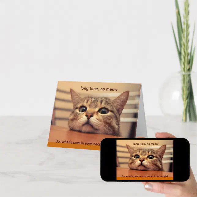 Long Time, No Meow Card | Zazzle