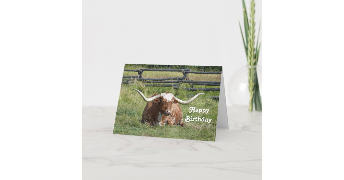 Longhorn Birthday Card | Zazzle