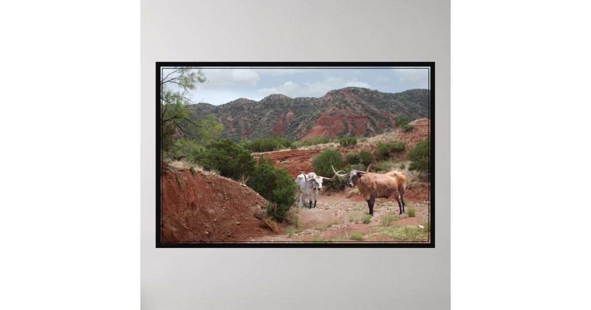 Longhorn Ravine Poster -60x40 | Zazzle