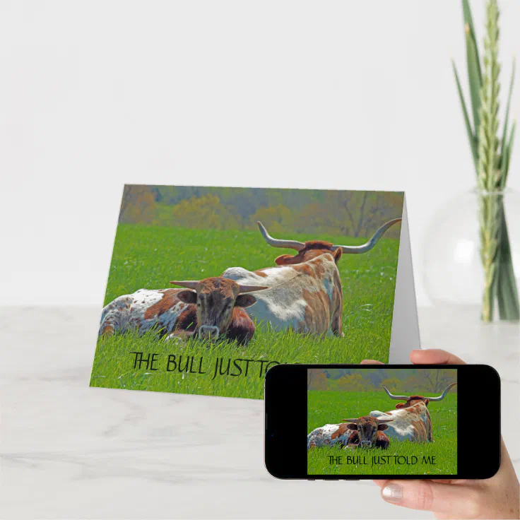 Longhorns in a Field Birthday Card | Zazzle
