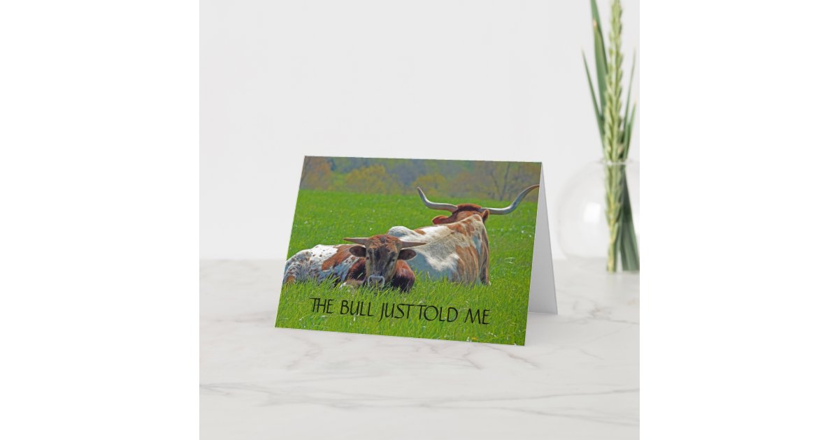 Longhorns in a Field Birthday Card | Zazzle