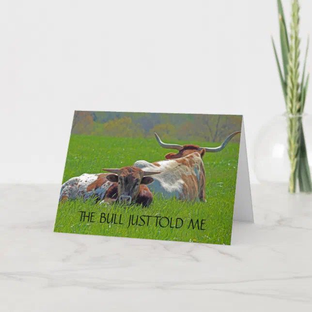 Longhorns in a Field Birthday Card | Zazzle