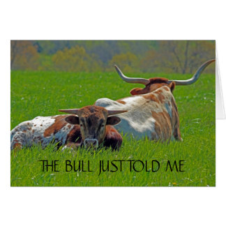 Longhorn Birthday Cards | Zazzle