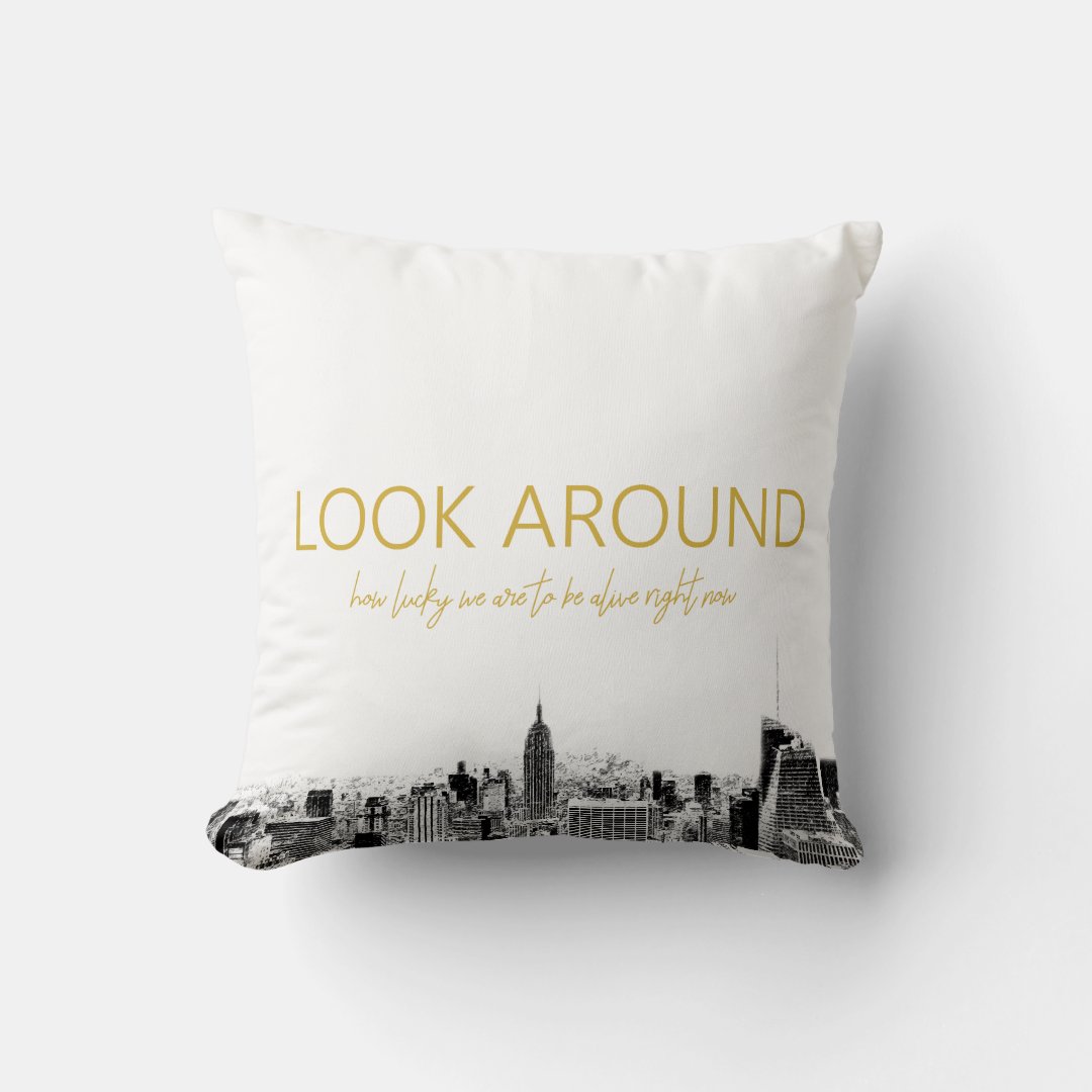 Look Around - Hamilton Throw Pillow | Zazzle