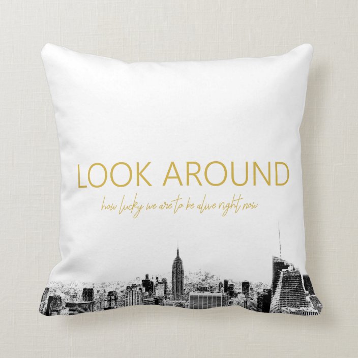 Look Around - Hamilton Throw Pillow | Zazzle.com
