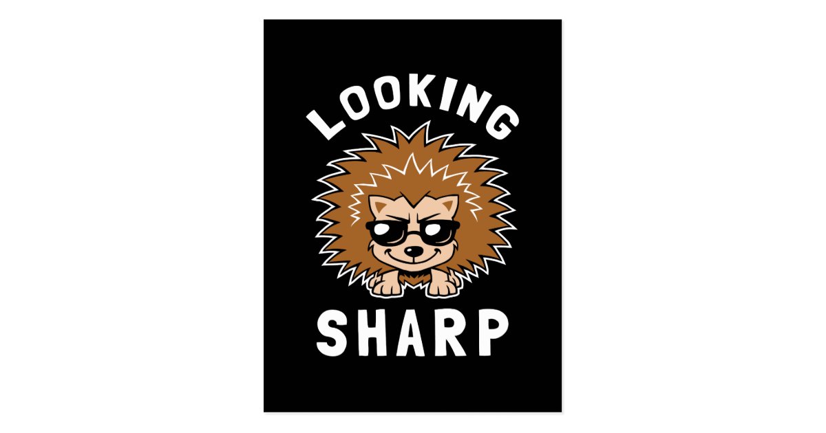 Looking Sharp Postcard | Zazzle.com