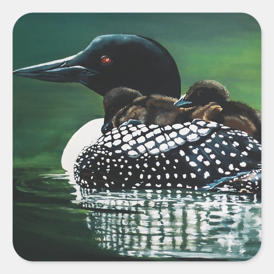 Loon Family Outing Square Sticker | Zazzle