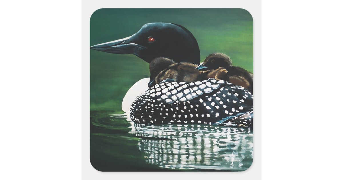 Loon Family Outing Square Sticker | Zazzle