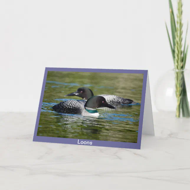 Loon Greeting Card | Zazzle