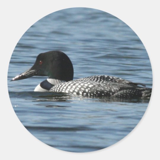 Loon Stickers | Zazzle.com