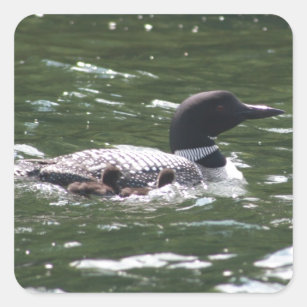 Loon Stickers & Sticker Designs | Zazzle