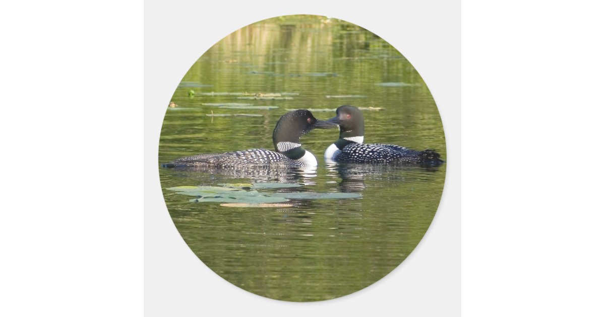 Loons Classic Round Sticker | Zazzle