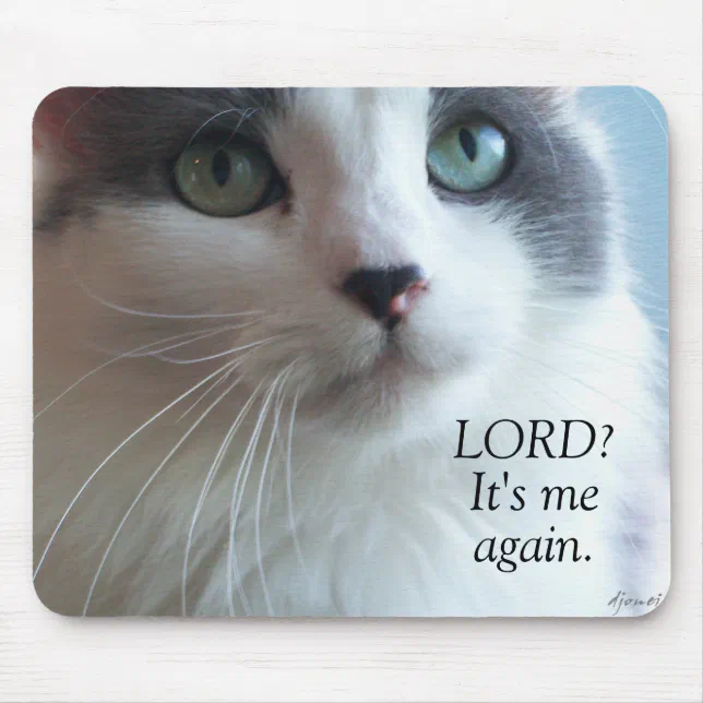 Lord, It's me again Praying Cat Meme Mouse Pad | Zazzle