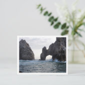 Los Cabos Postcard | Zazzle
