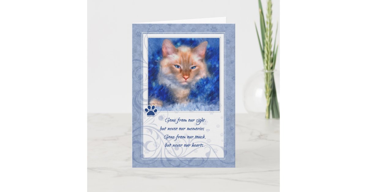 Loss of Cat Siamese with Blue Boa Pet Sympathy Card | Zazzle