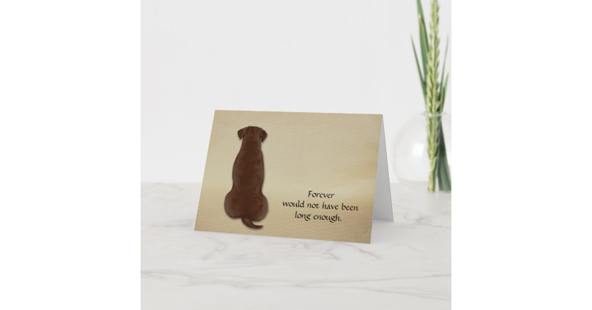 Loss of Chocolate Lab Condolence Sympathy Card | Zazzle