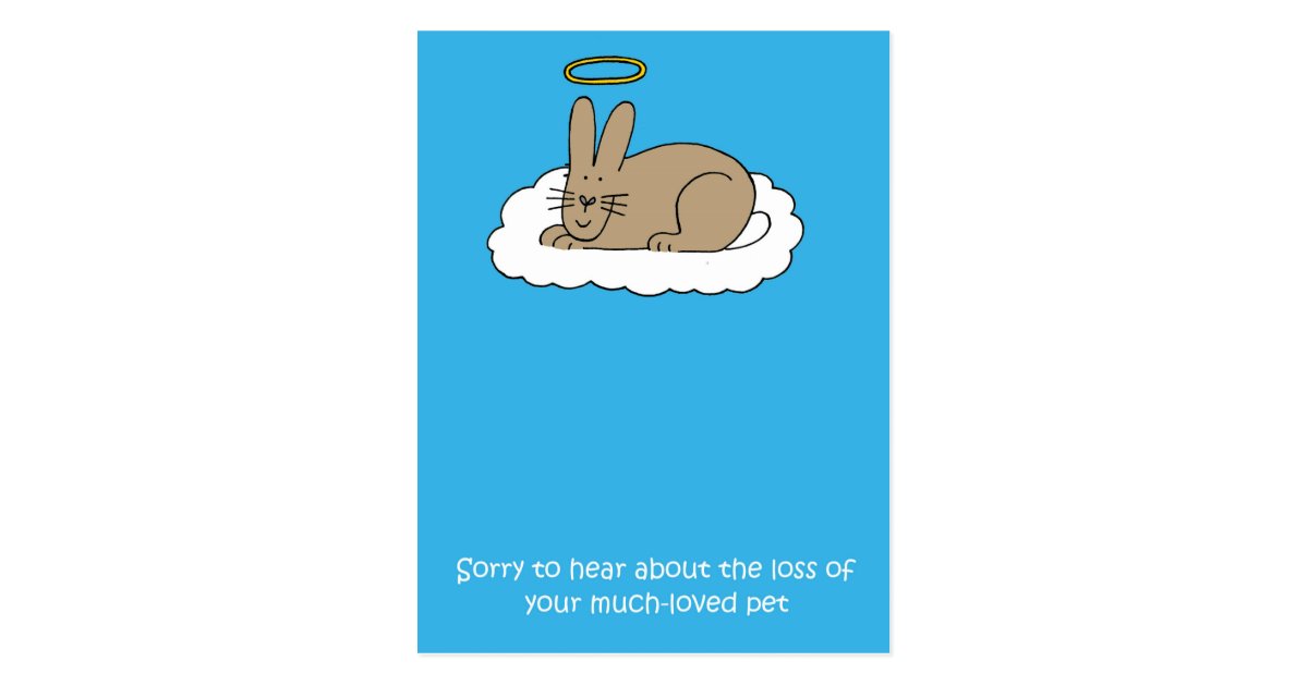 Loss of Pet Rabbit Sympathy. Postcard | Zazzle.com