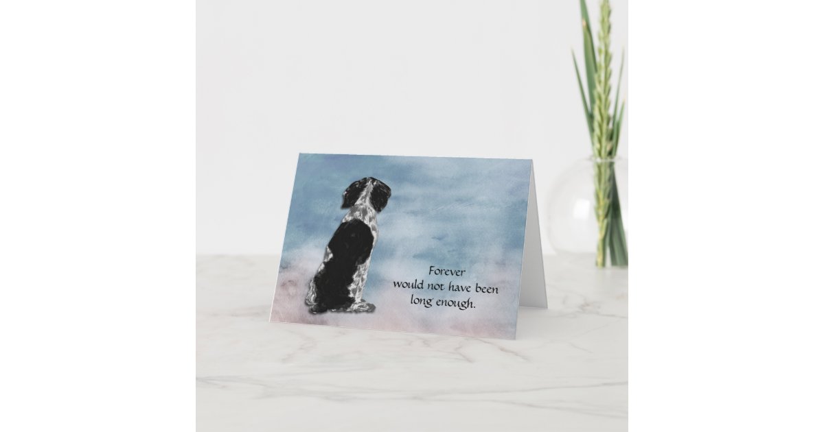 Loss of Spaniel Condolence Sympathy Card | Zazzle