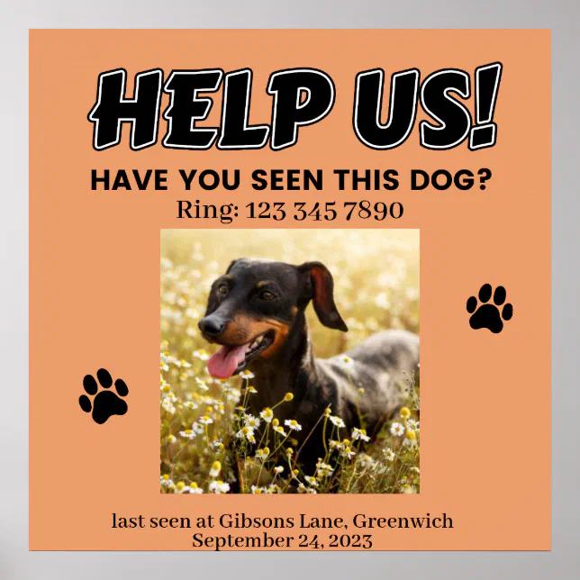 LOST DOG POSTER. HELP US! Editable details Poster | Zazzle