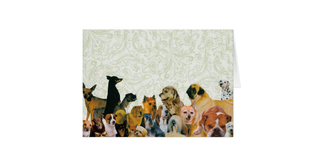 Lots of Dogs Collage Card | Zazzle