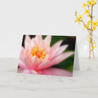 Lotus/Card Card | Zazzle