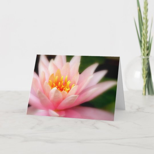 Lotus/Card Card | Zazzle.com