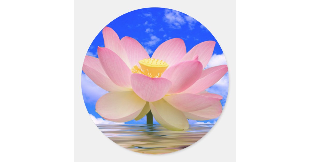 Lotus Flower Born in Water Classic Round Sticker | Zazzle