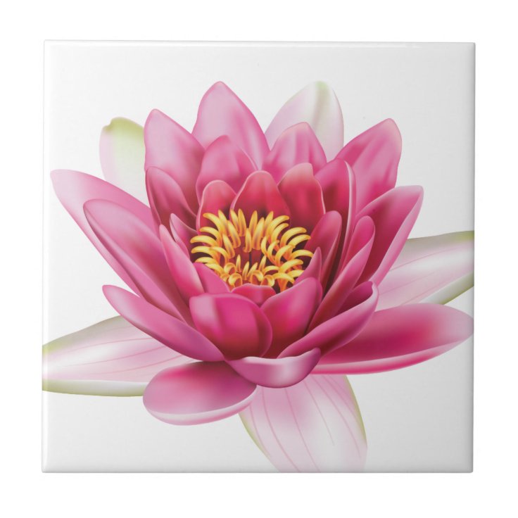 Lotus Flower Ceramic Tile | Zazzle