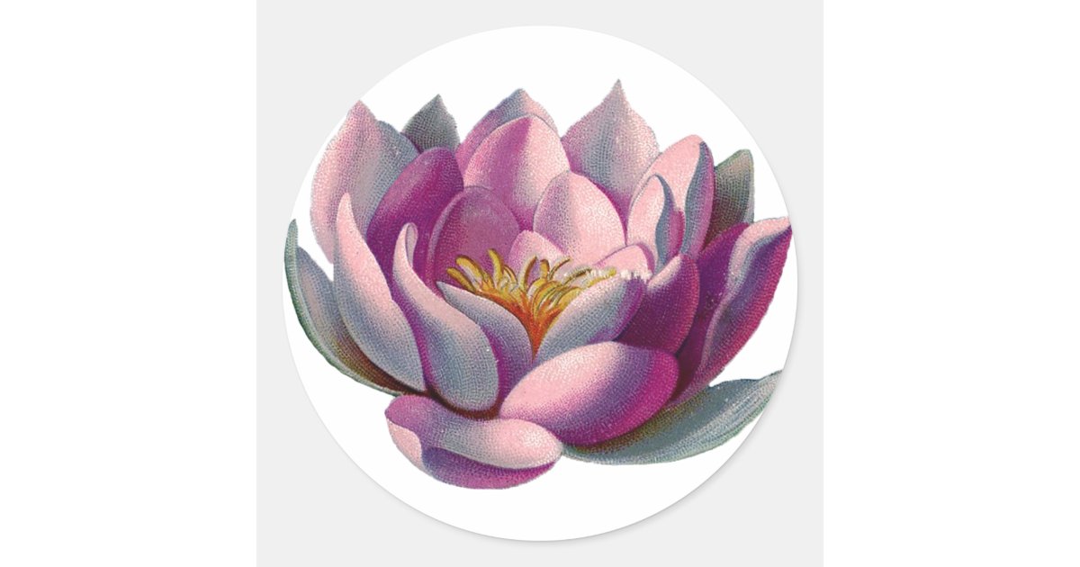 Lotus Flower Classic Round Sticker | Zazzle