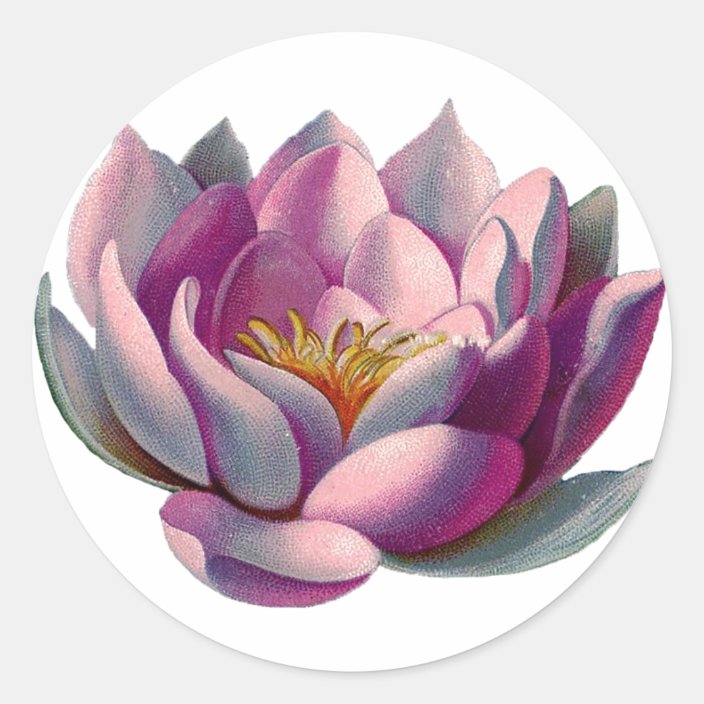 Lotus Flower Classic Round Sticker | Zazzle.com