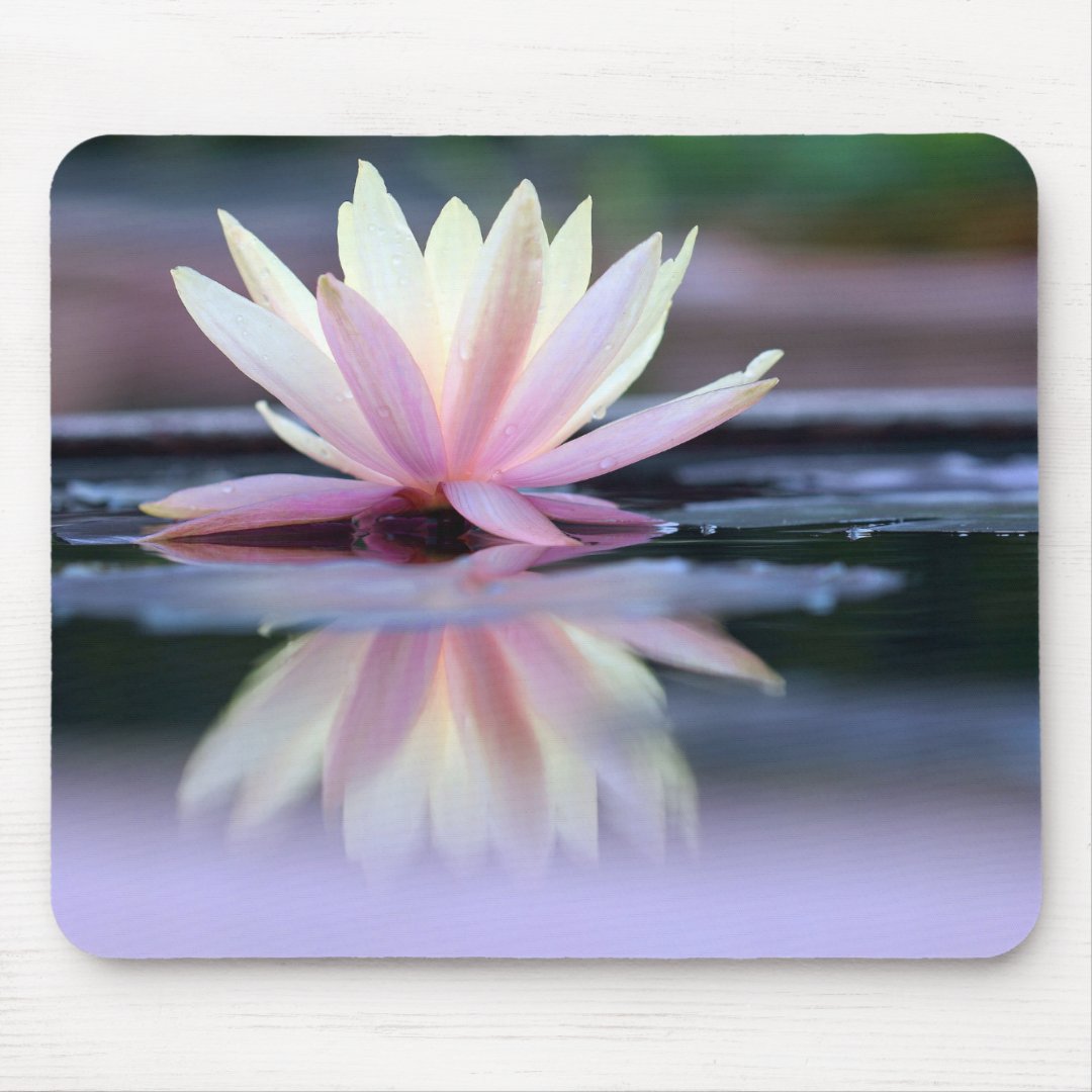 Lotus Flower Mouse Pad | Zazzle
