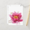 Lotus Flower Postcard | Zazzle
