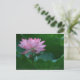 Lotus flower postcard | Zazzle