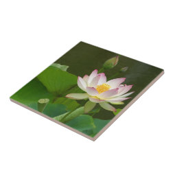 Lotus Flower Tile. Tile | Zazzle