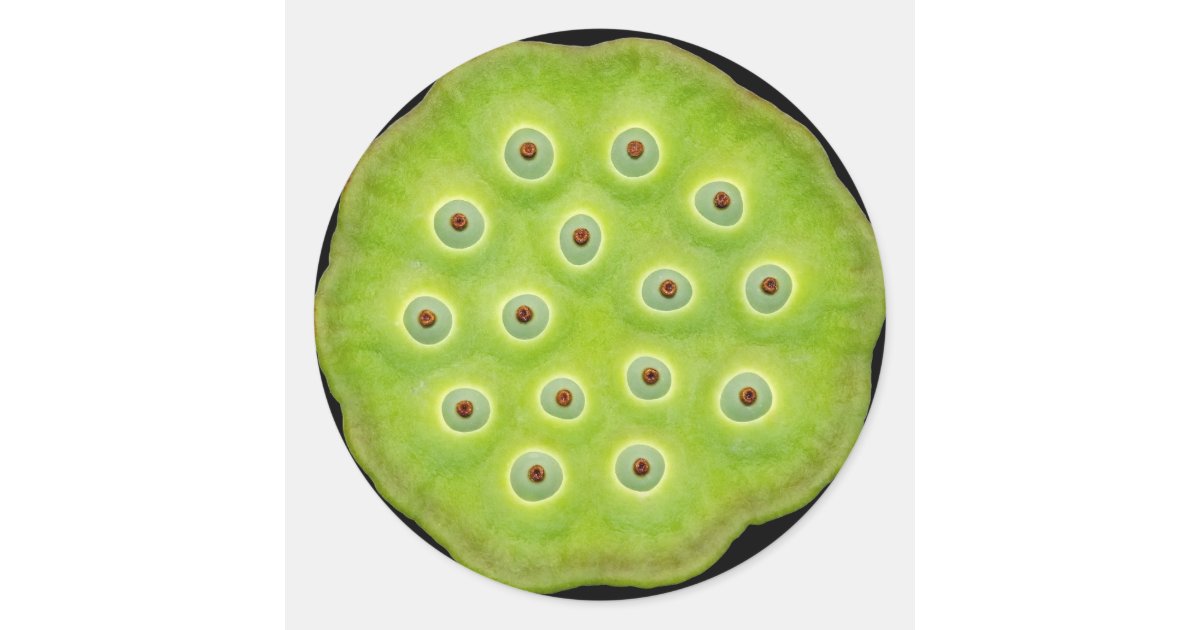 Lotus Pod Stickers | Zazzle