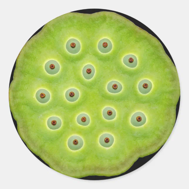 Lotus Pod Stickers | Zazzle