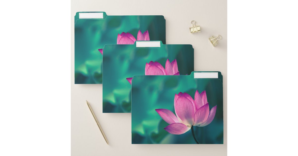 Lotus Water Lily Flower File Folder | Zazzle