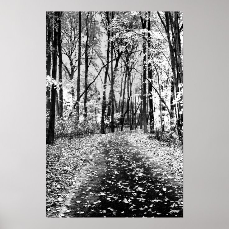 Loud Whisper Poster | Zazzle