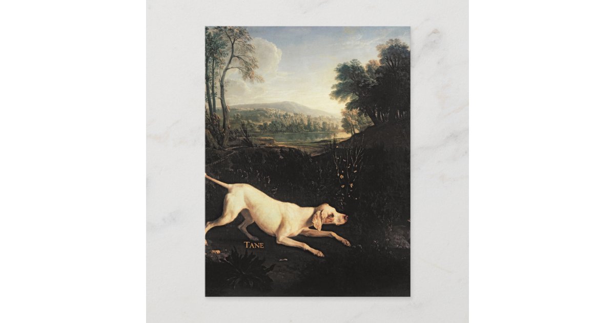 Louis XIV's Dog, Tane Postcard | Zazzle