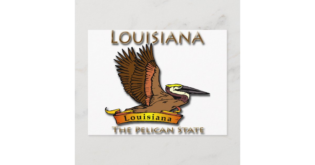Louisiana Pelican State Pelican Postcard | Zazzle