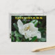Louisiana State Flower: Magnolia Postcard | Zazzle