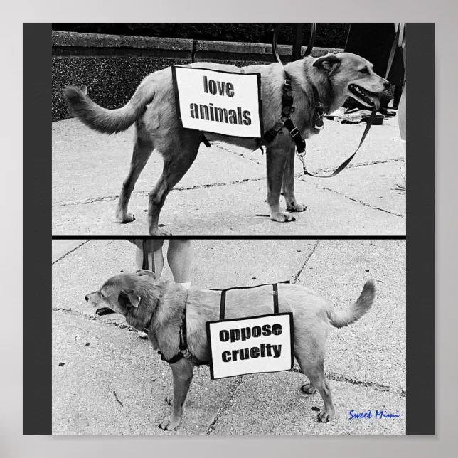 Love Animals Poster | Zazzle