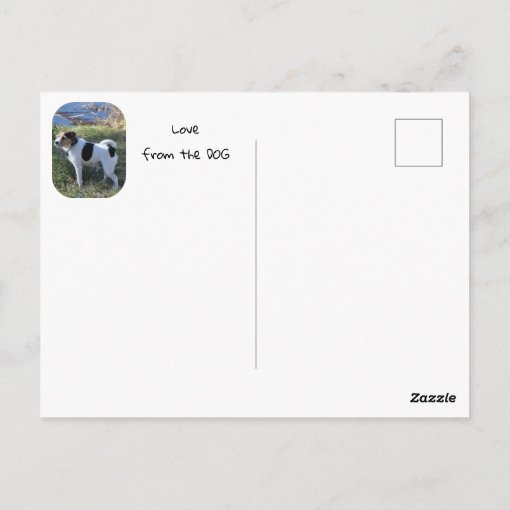 Love From The Dog by Janz Jack Russell Postcard | Zazzle