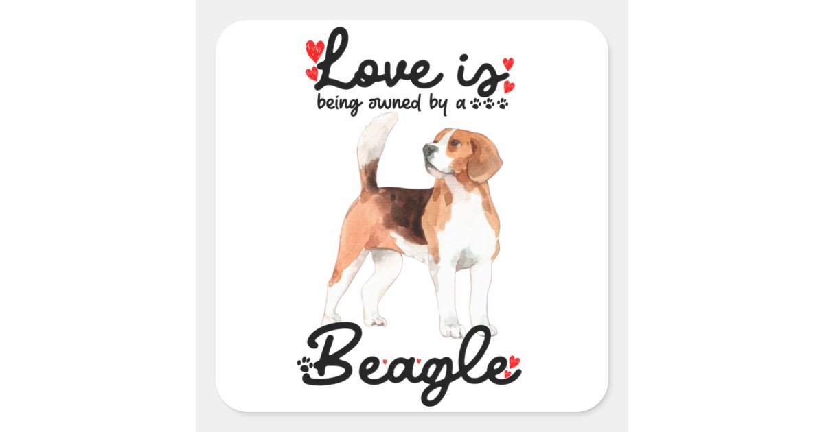 Love Is Being Owned By A Beagle Square Sticker | Zazzle