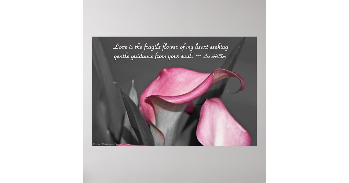Love is the fragile flower of... Poster | Zazzle