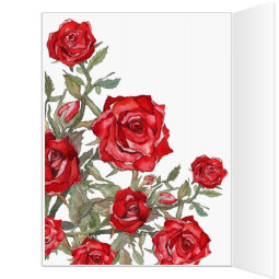 Love letter elegant red rose design card | Zazzle