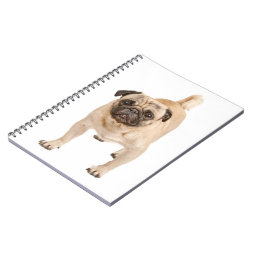 Love Pug Puppy Dog Notebook / Journal | Zazzle