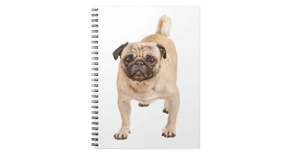 Love Pug Puppy Dog Notebook / Journal | Zazzle